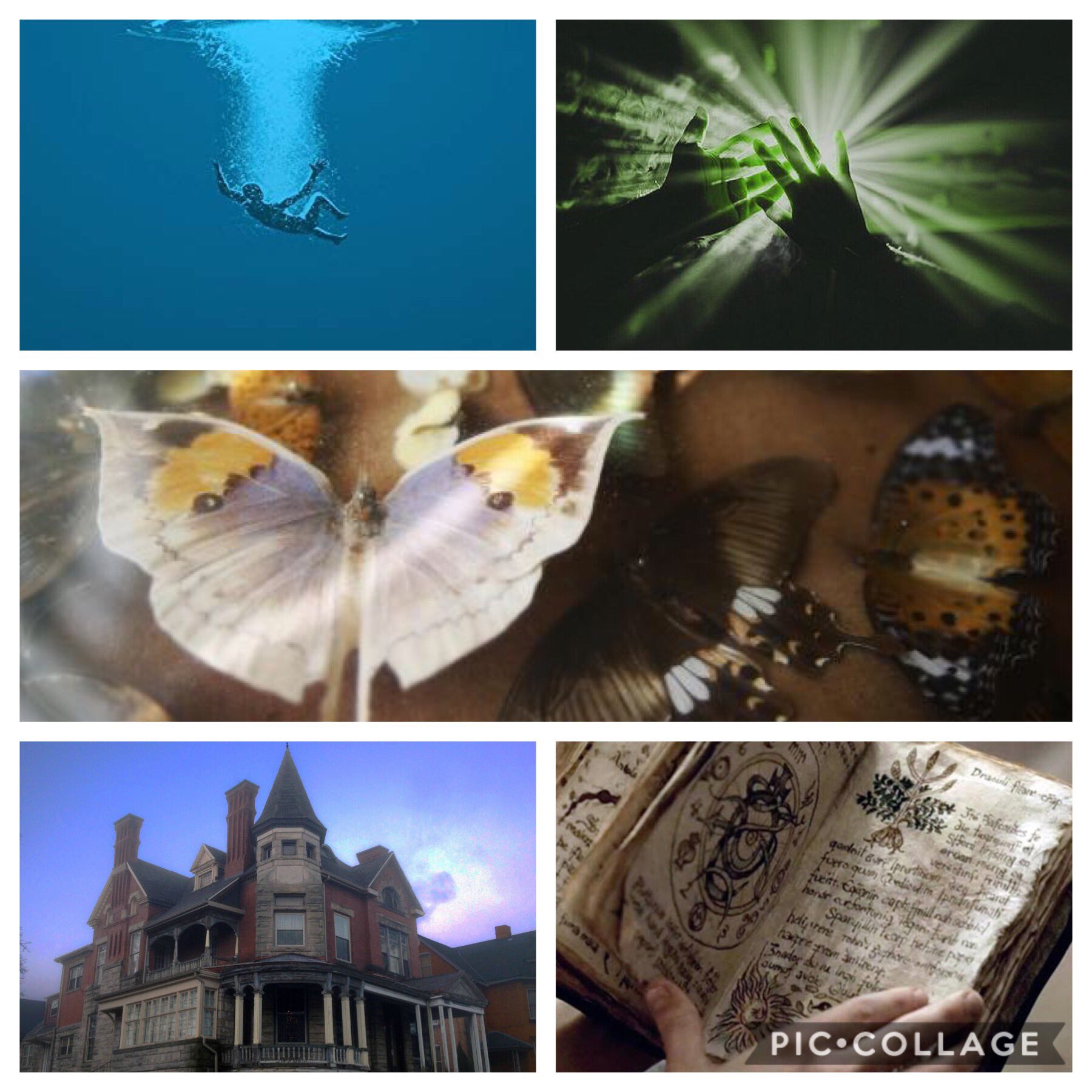 Debut Novel Acquired by Albert Whitman - Amber Morrell